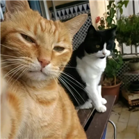 Loiuyt - 作家生活誌